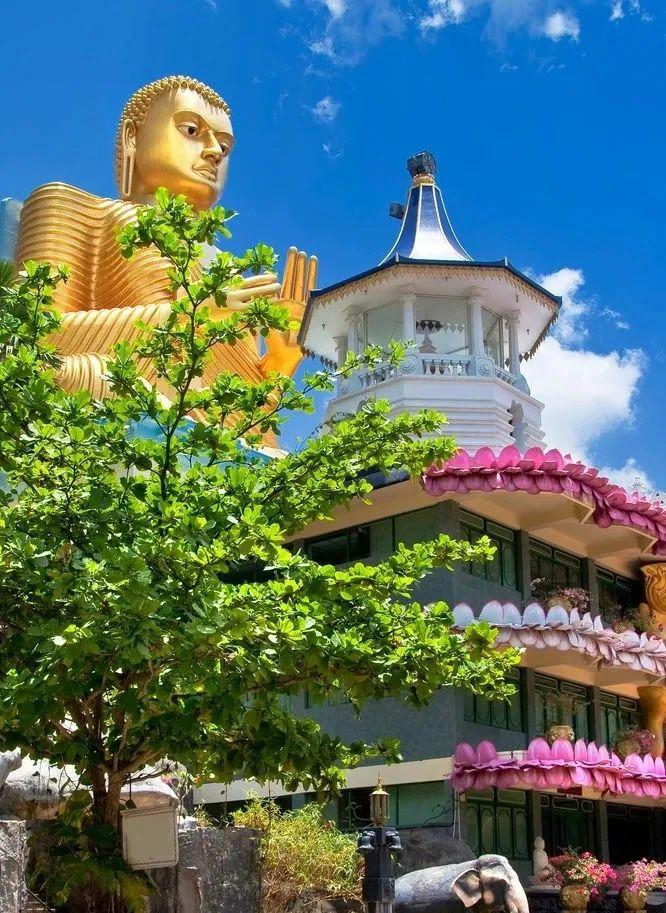 留学推荐 | 宝藏留学国家——斯里兰卡 - 知乎