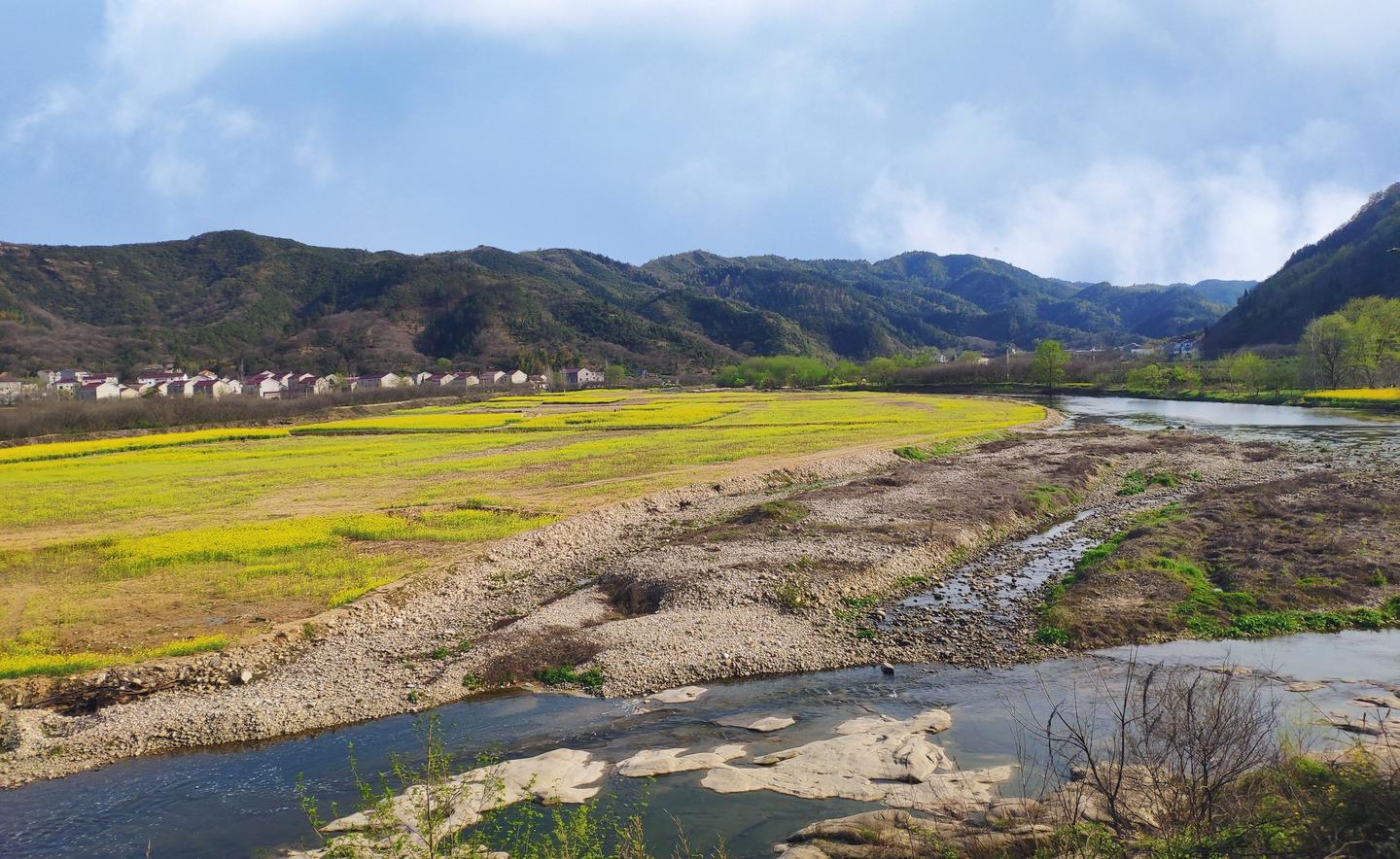 Temporal Pyramid Network for Action Recognition - 知乎
