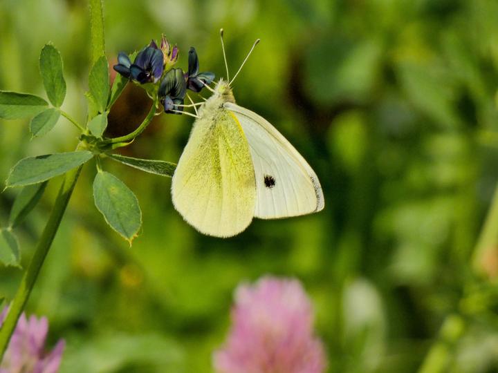 Excel Vba基础（15）：vba中sub过程、function函数介绍 知乎