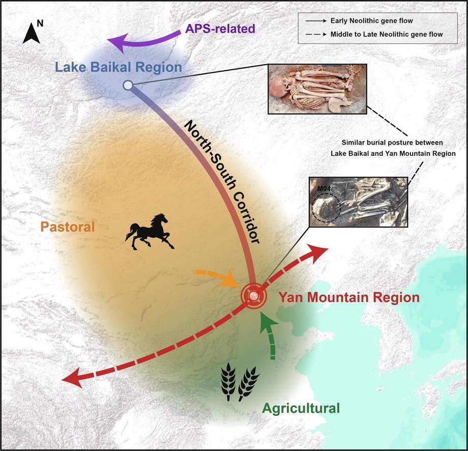 黄土高原仰韶文化/高地龙山人的类鬼门洞成分其实源自燕山一带 - 知乎