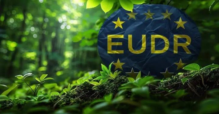 eudr认证流程详细步骤，有什么意义 - 知乎