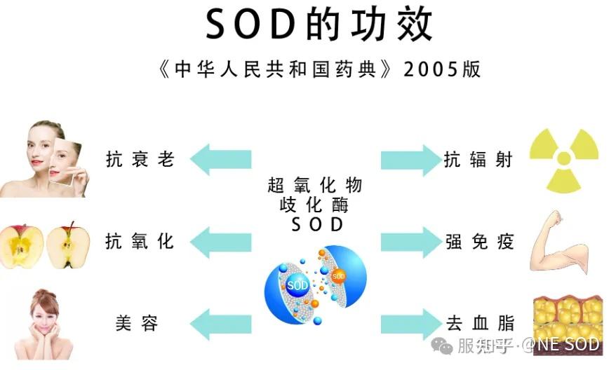皮肤抗衰的“超级卫士” 一文读懂SOD的惊人力量！ - 知乎