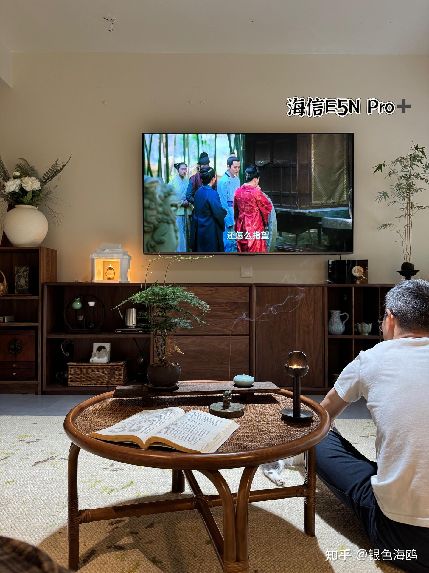 5K多预算换85寸大屏电视真香！海信电视E5N Pro+就是国补换新首选，年货节不要错过 - 知乎