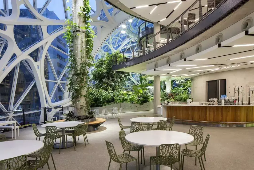 40亿美元建出一片热带雨林，亚马逊总部长什么样？ - 知乎