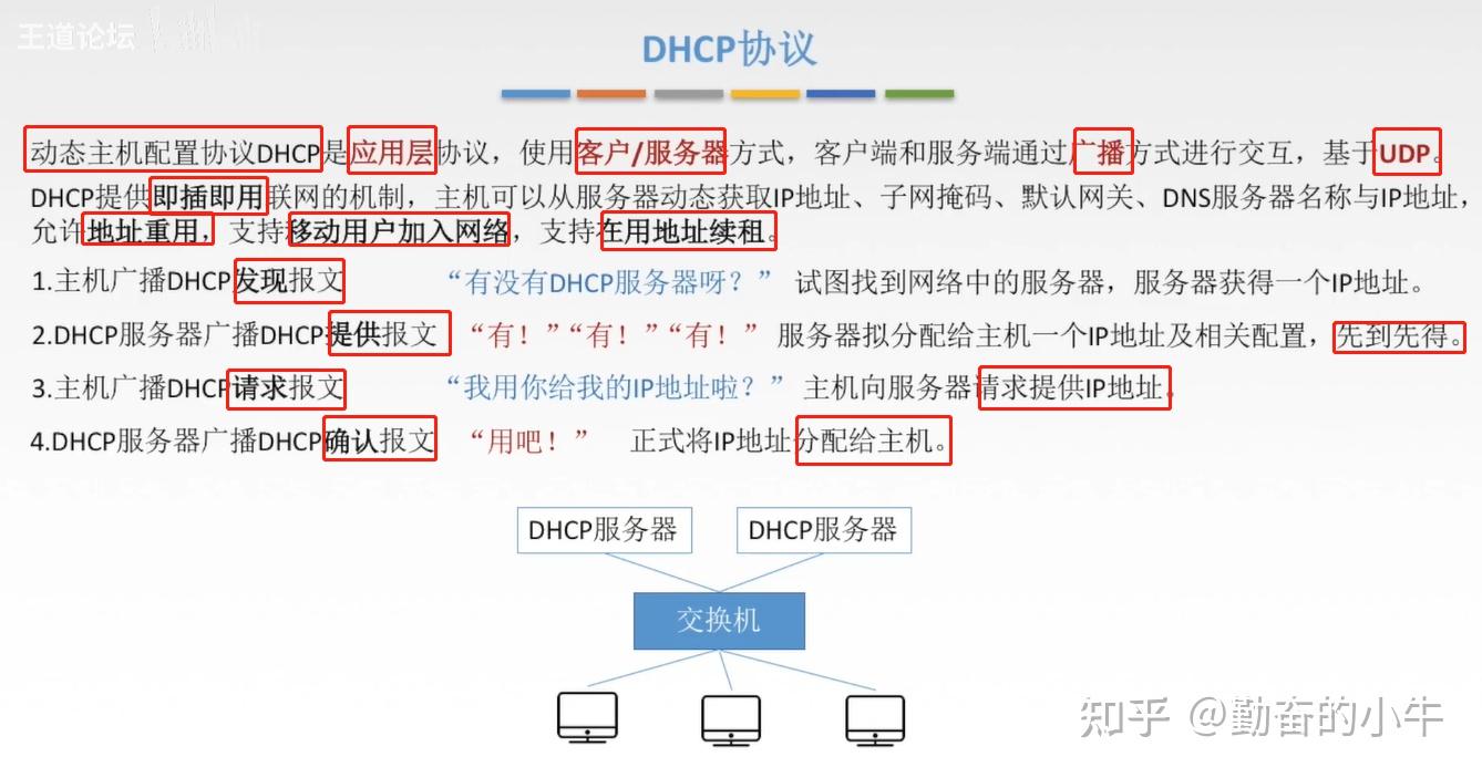 一文读懂DHCP协议 && DHCPv6协议 - 知乎
