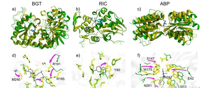 EDES: 基于蛋白的 apo 结构生成类 holo 的构象 - 知乎