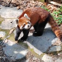 工艺上5M1E分析方法同5W1Y结合运用 - 知乎