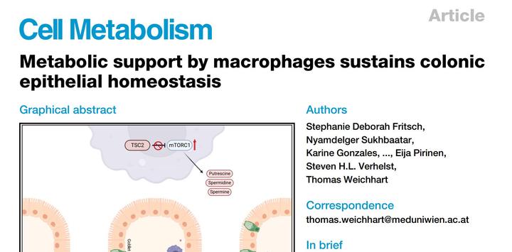 Cell Metabolism | 亮点：巨噬细胞分泌代谢产物调控细胞功能 - 知乎