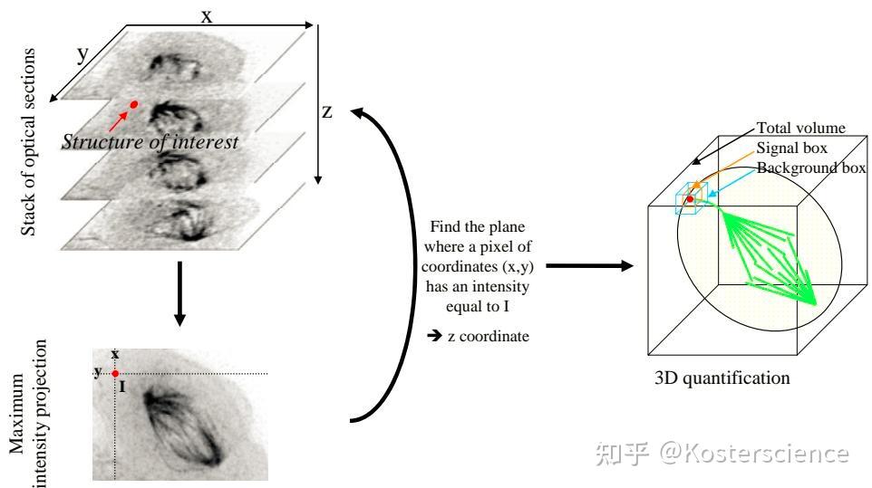 Imagej Manual Tracking（手动追踪）插件玩转指南 - 知乎