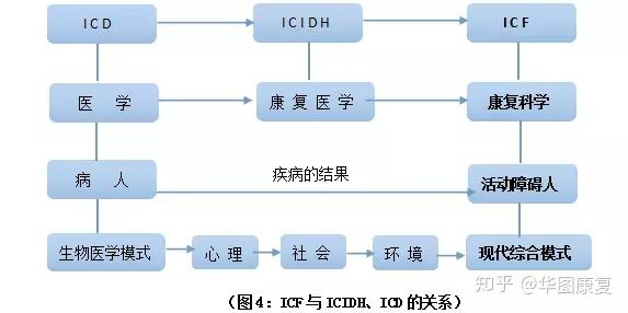康复科学的理论支撑——ICF - 知乎