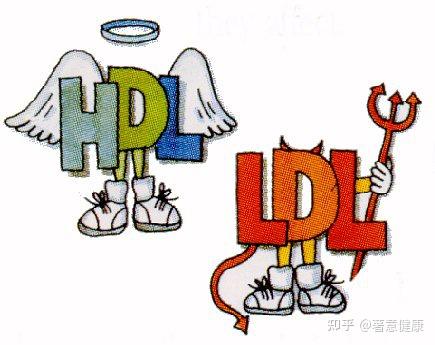 胆固醇，HDL，LDL都是什么？ - 知乎