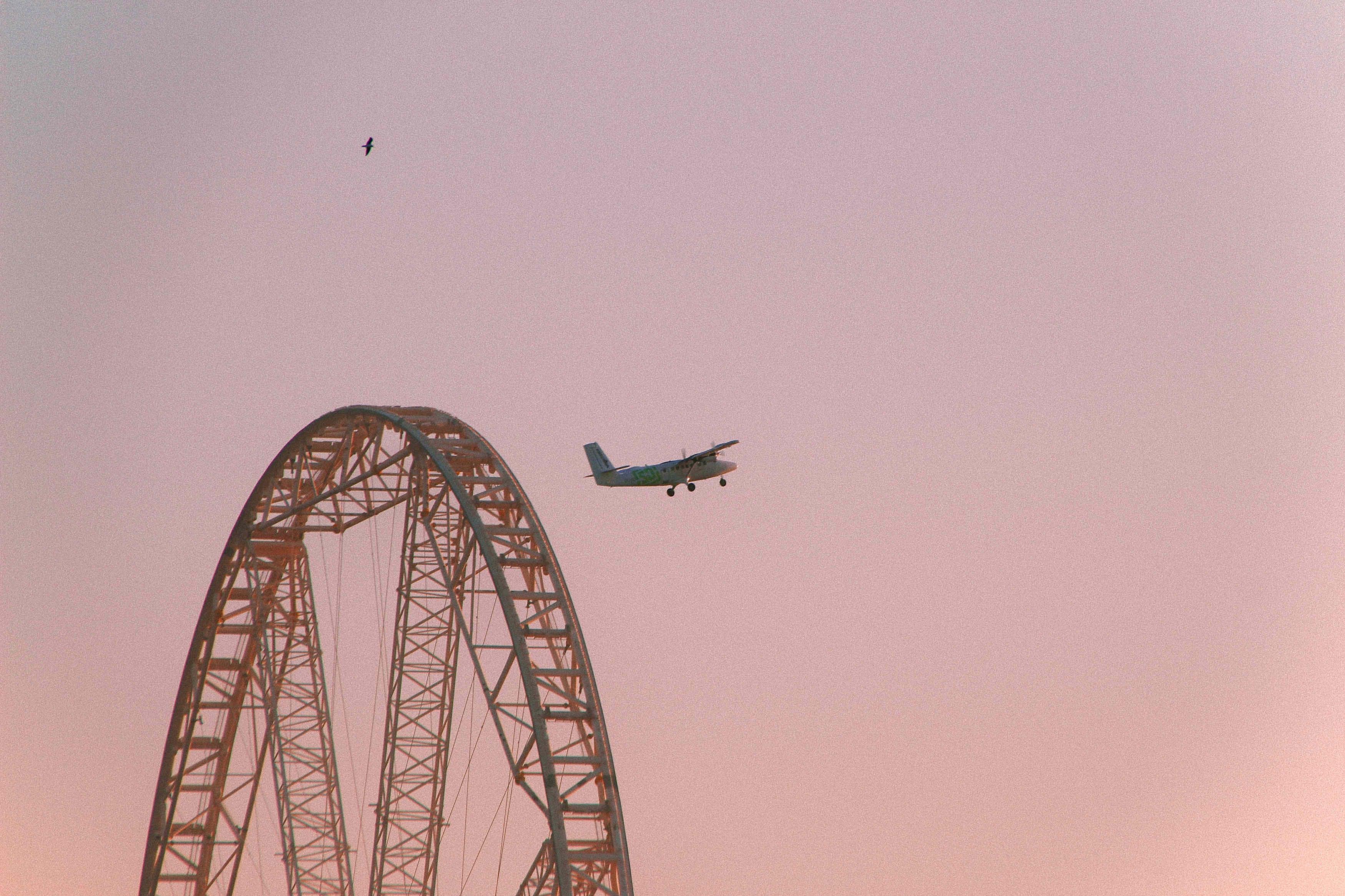 模型1:正态分布（The Model Thinker 2） - 知乎