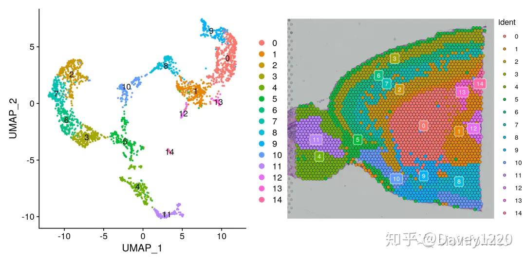 Seurat包学习笔记（三）：Analysis of spatial datasets - 知乎