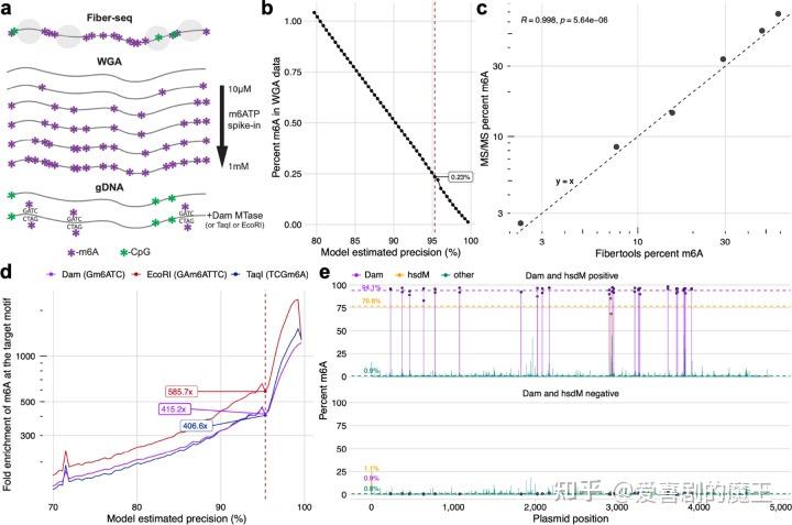 论文阅读——利用 fibertools 进行 DNA-m6A 调用和长读数表观遗传学与基因综合分析 - 知乎