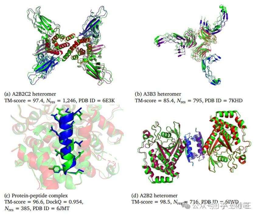 alphafold-multimer结果如何解读？ - 知乎