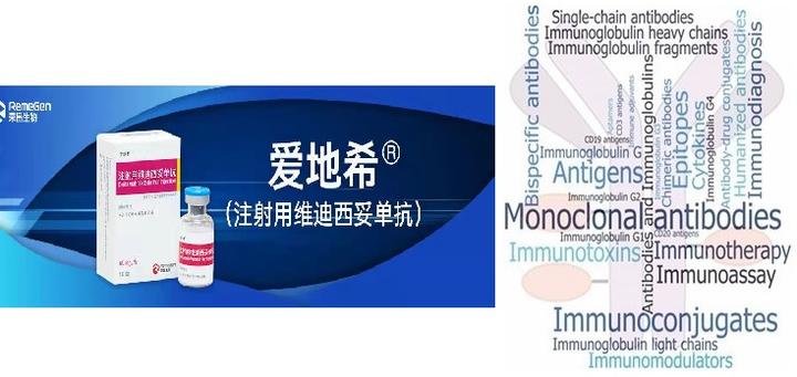 抗体偶联药物ADC通用名称命名-9 荣昌生物 (Remegen) - 知乎