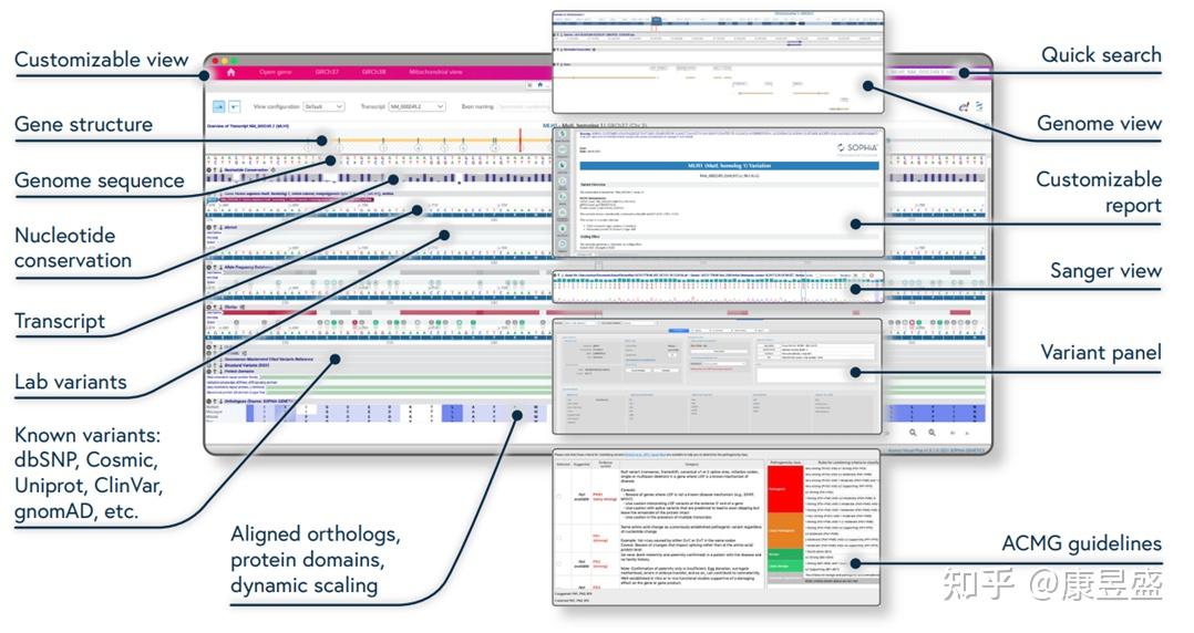 Alamut Visual Plus：基因组变异深度注解 - 知乎