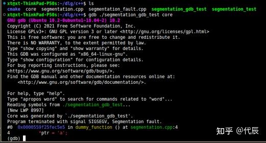 C++编程：linux系统segmentation fault错误的调试方法 - 知乎