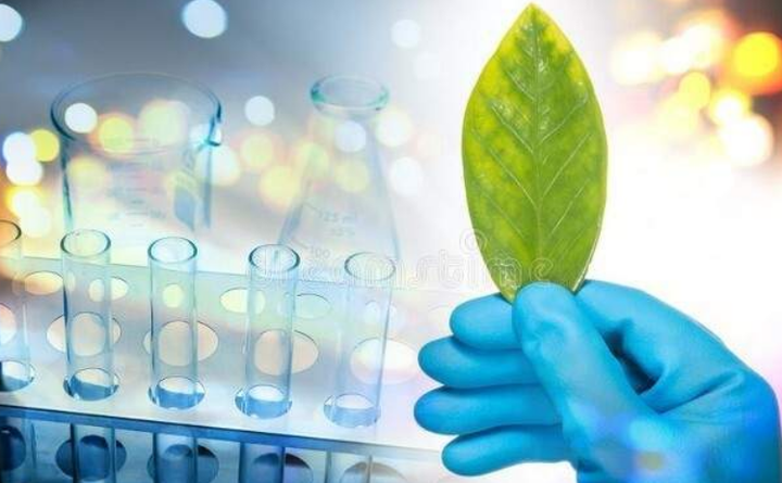 奥浦迈研究报告：培养基与CDMO协同发展，下游放量未来可期 - 知乎