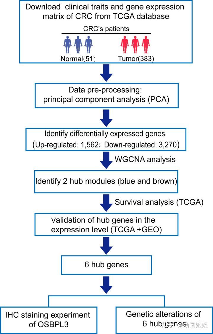 基于TCGA+GEO数据库的癌症关键基因鉴定与验证（一）文献概述 - 知乎