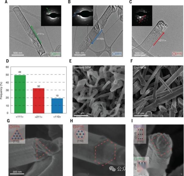 Science | 从原子尺度理解锂枝晶生长和SEI膜结构 - 知乎
