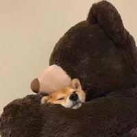 一个实用的波特图在线绘制工具 (The Online Bode Plot Tool) - 知乎