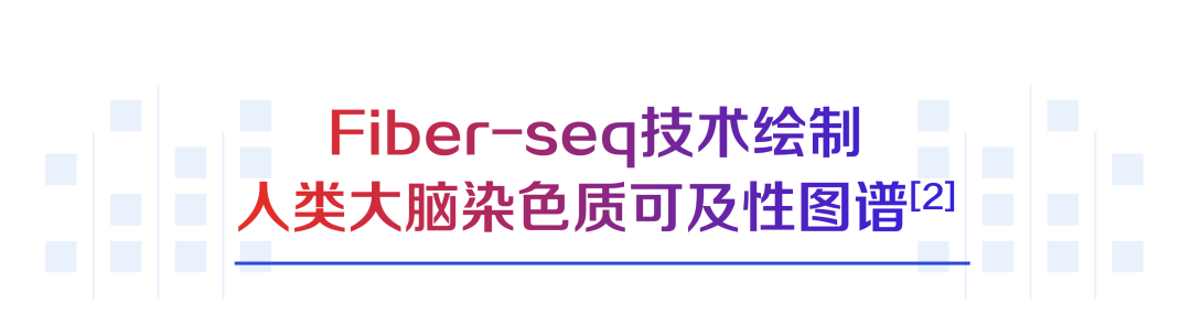 贝瑞基因解密：解锁人类基因组奥秘的“超级钥匙”——Fiber-seq - 知乎