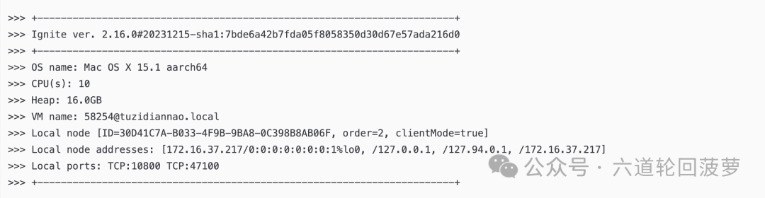 分布式内存数据库——Apache Ignite - 知乎