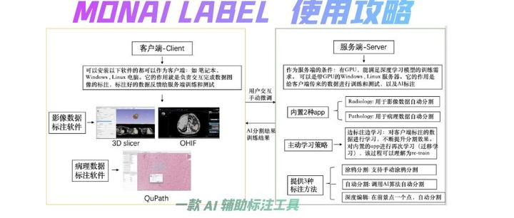 【论文阅读】MONAI Label：人工智能辅助的 3D 医学图像交互式标注框架 - 知乎