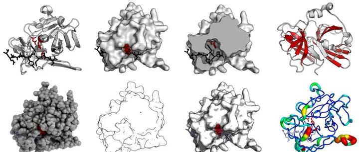 Pymol | 浅谈PyMol与pml2py脚本 - 知乎