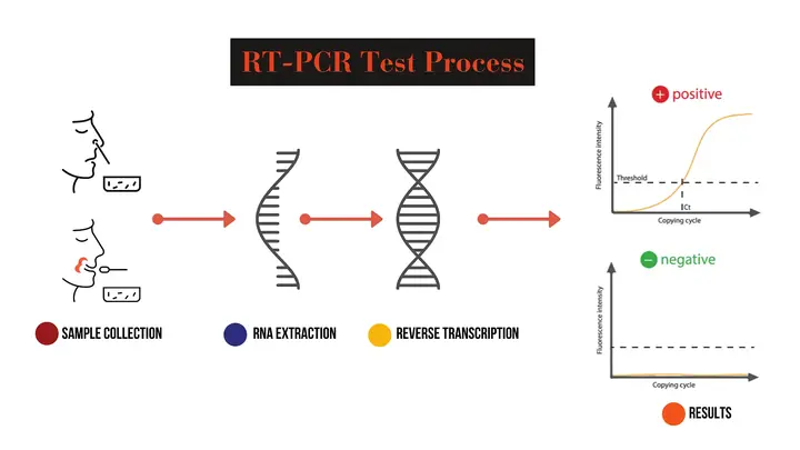 实验技能 | 第五期：你是否了解RT-PCR实验呢？ - 知乎
