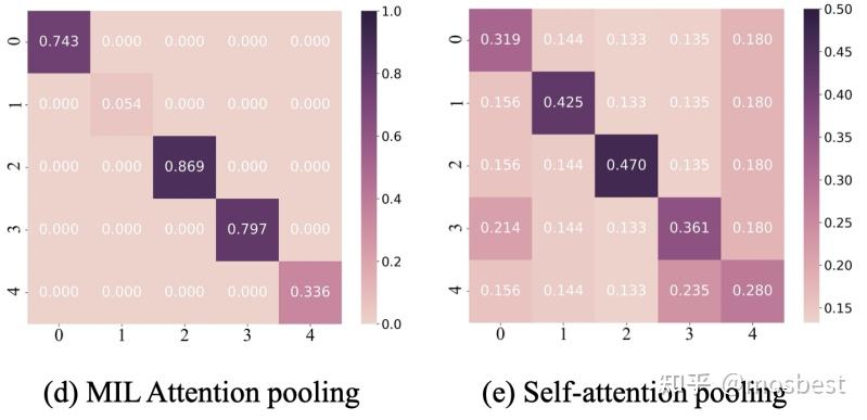 TransMIL: 基于 Correlated Multiple Instance Learning Transformer 用于 WSI ...