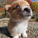 snprintf()是 C 语言中最常用、最推荐使用的字符串格式化函数 - 知乎