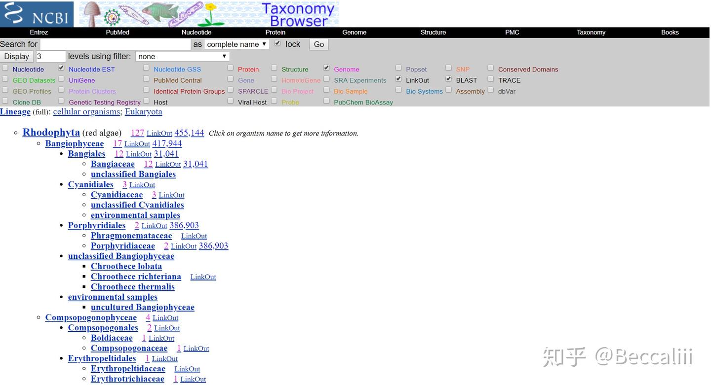 【数据库】- NCBI Taxonomy Browser - 知乎