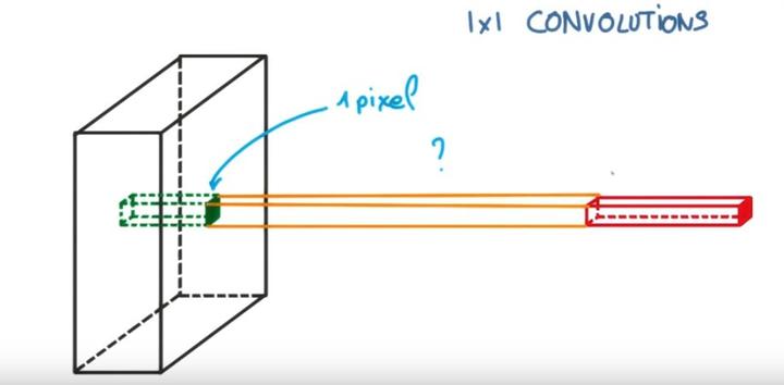 Pytorch中Linear与Conv1d(kernel=1)的区别 - 知乎