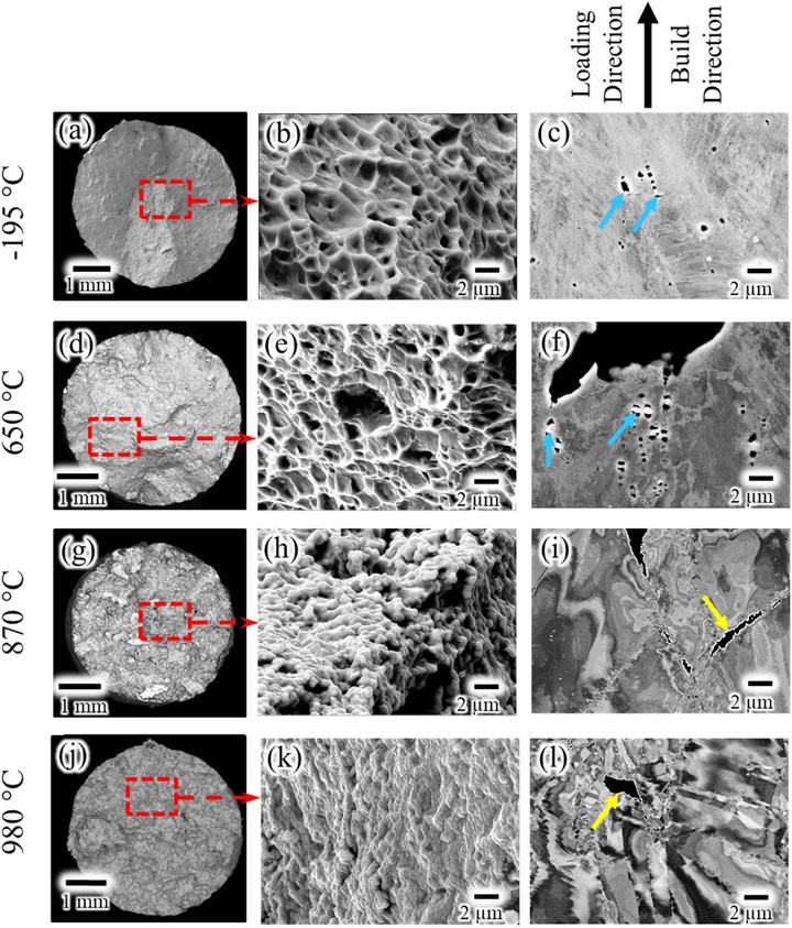 LP-DED IN625的−195 °C至980 °C 拉伸变形断裂机制 - 知乎