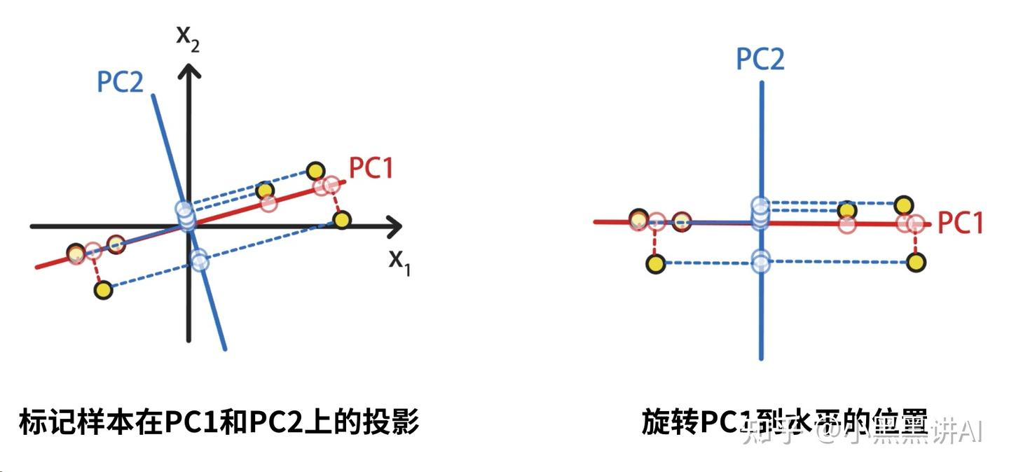 什么是降维算法，PCA主成分分析的原理详解 - 知乎