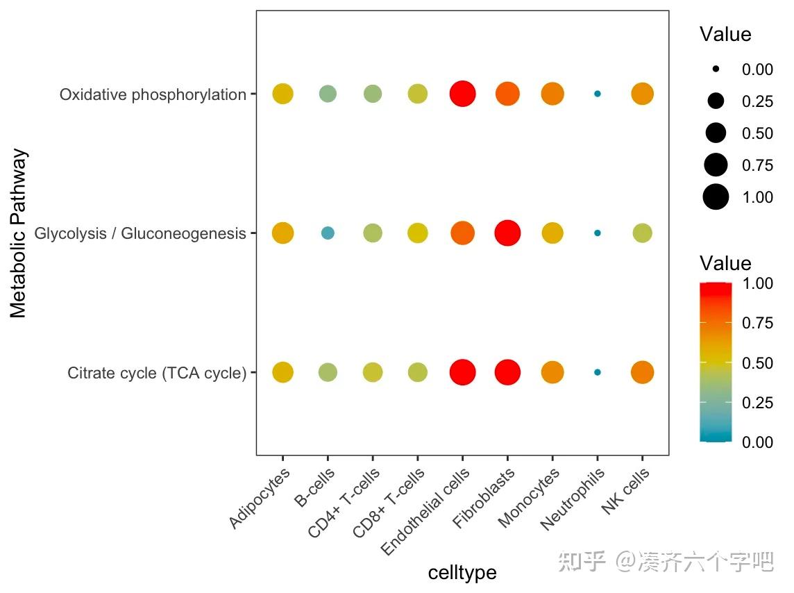 单细胞scMetabolism代谢相关通路分析学习和整理 - 知乎