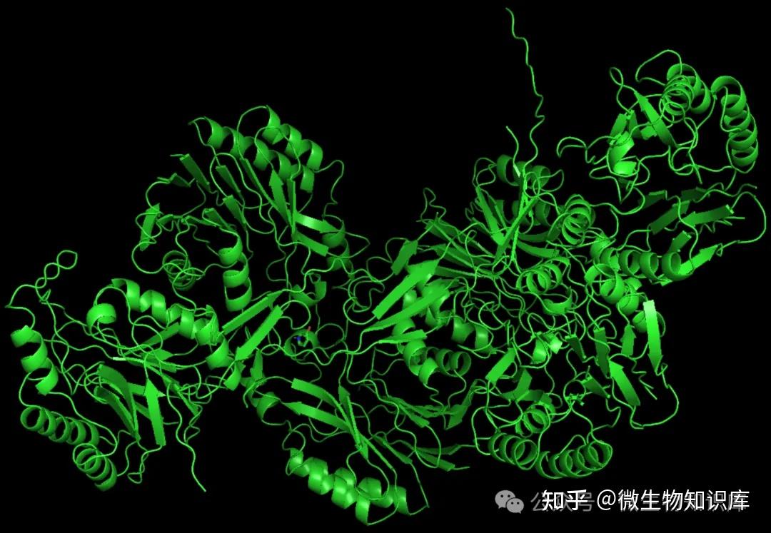 分子对接（六）：PyMol可视化分子对接结果详细教程 - 知乎