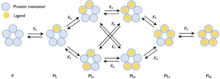 非变性质谱中的蛋白质-小分子相互作用（3）——蛋白质-小分子相互作用的定量分析 - 知乎