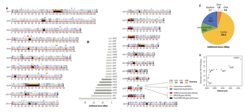 T2T基因组测序的那些事儿 - 知乎