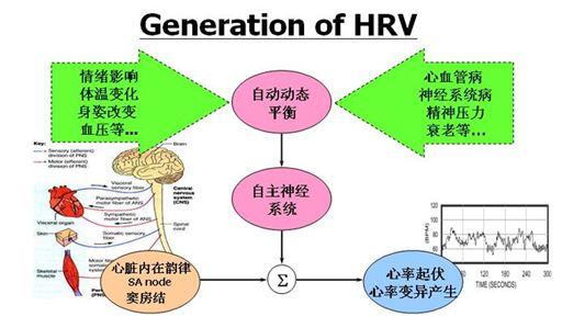 理解HRV - 知乎