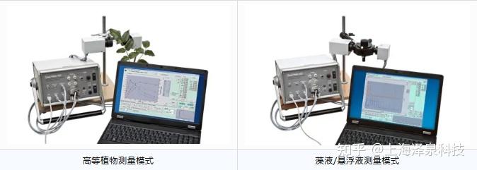 双通道调制叶绿素荧光仪DUAL-PAM-100 - 知乎