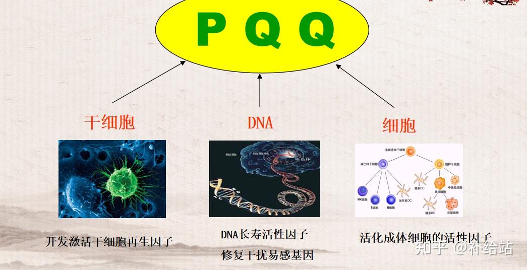PQQ有什么好处?是智商税吗？ - 知乎