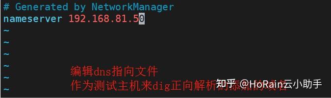 HoRain云--DNS域名解析服务器的搭建 - 知乎