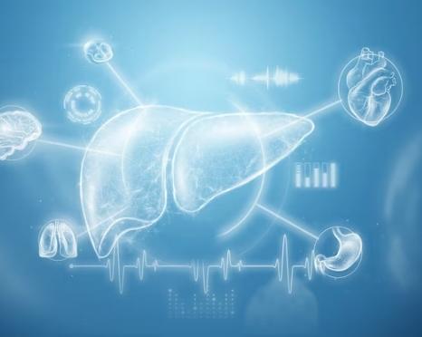 临床进度超礼来！勃林格殷格翰GLP-1R/GCGR激动剂MASH II期研究成功 - 知乎