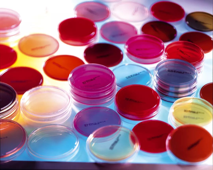 培养基按照使用功能分类 - 知乎