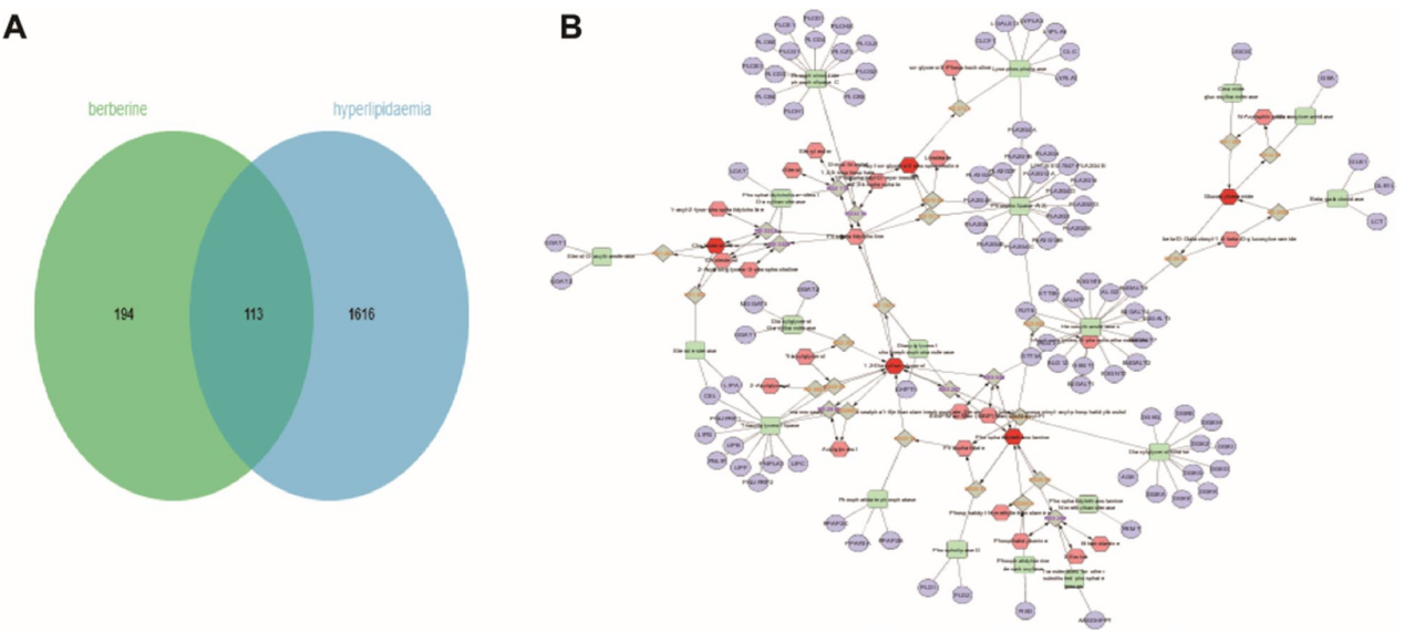 网络药理学 | IF 8.44！综合脂质组学和网络药理学分析揭示小檗碱治疗高脂血症的机制 - 知乎