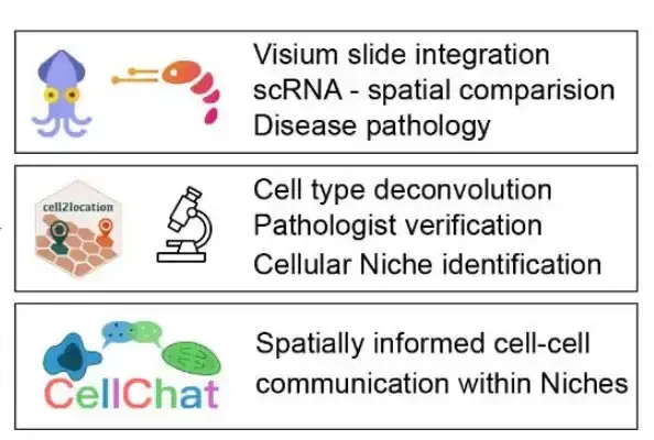 空间转录组分析之细胞Niche（python）版本 - 知乎