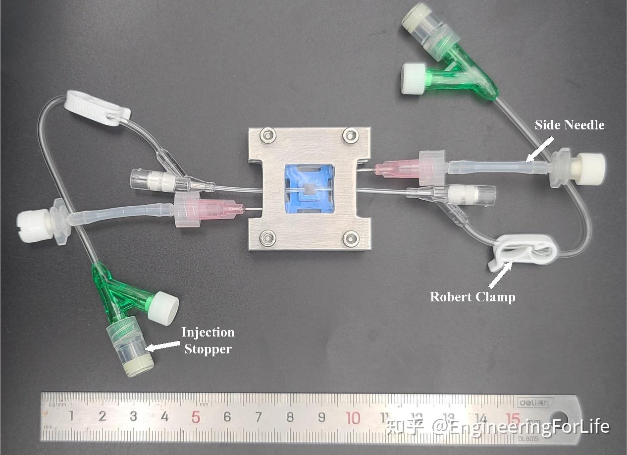 浙江大学贺永团队：同轴生物3D打印构建可灌注血管芯片 - 知乎